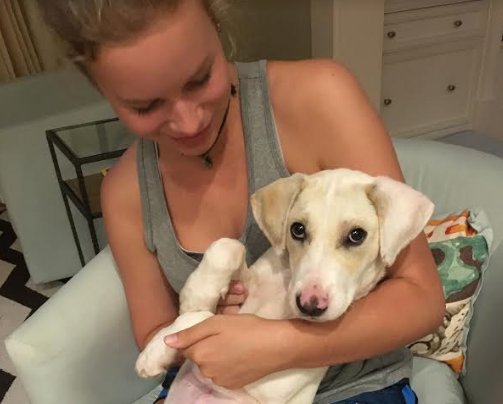 Meet Frazier: Good dog looking for good home | The Oxford Eagle