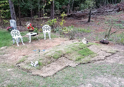 Tula Cemetery items missing from gravesite | The Oxford Eagle