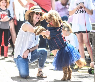 The Double Decker Festival to return in Spring 2022 - The Oxford Eagle ...