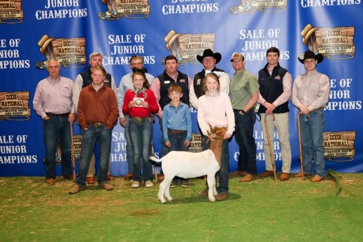 Lafayette County youth recognized at annual Dixie National Sale of ...