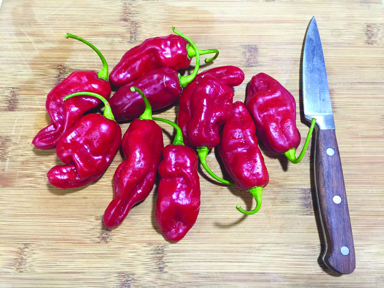 Managing the heat of hot peppers | The Oxford Eagle