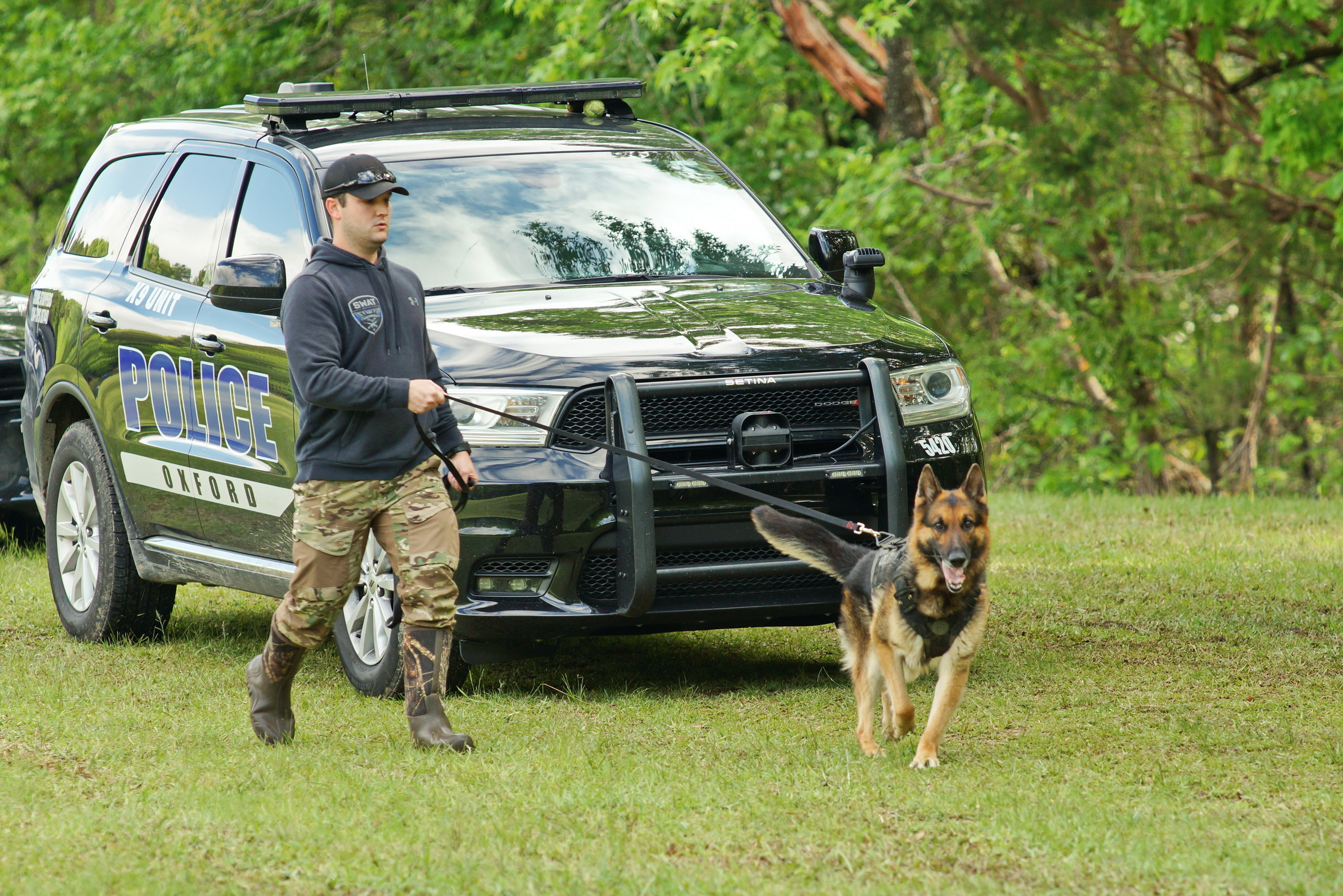Oxford police canine Frankie receives honors at aldermen meeting | The ...