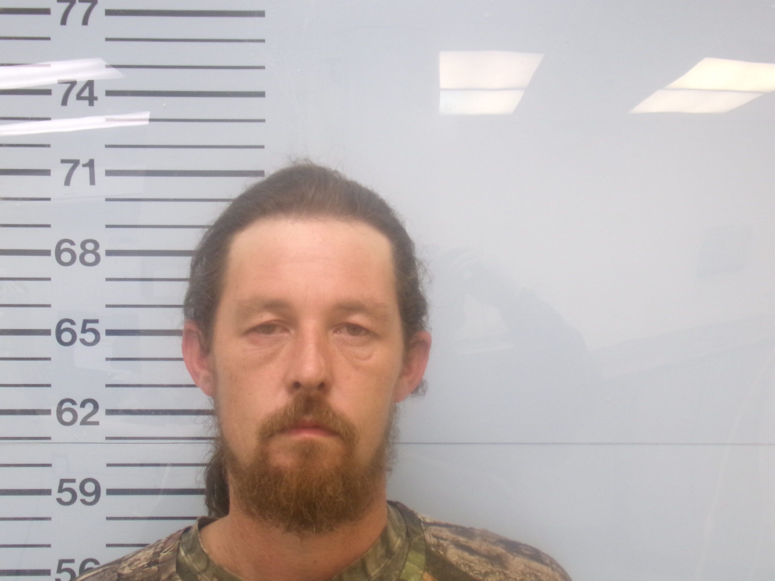 Harmontown man charged with attempted sexual battery, molesting of ...