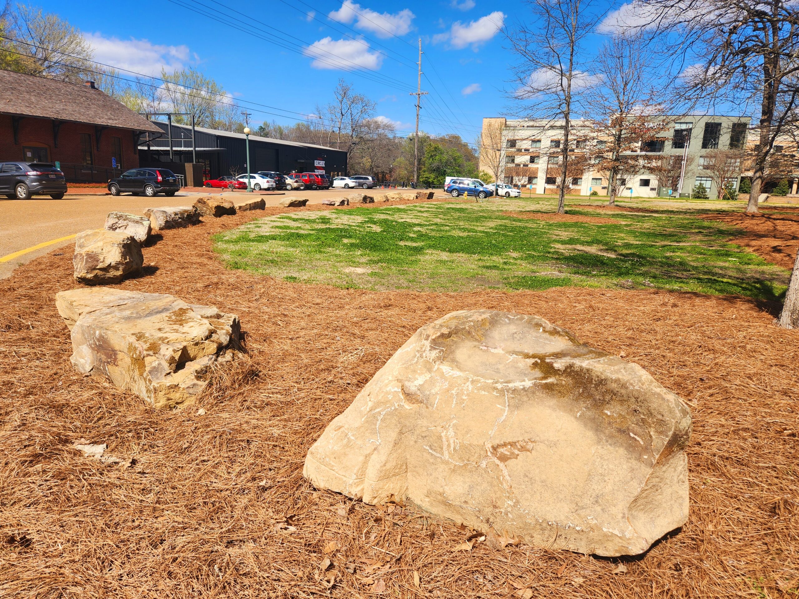 Anti-Parking Rocks | The Oxford Eagle